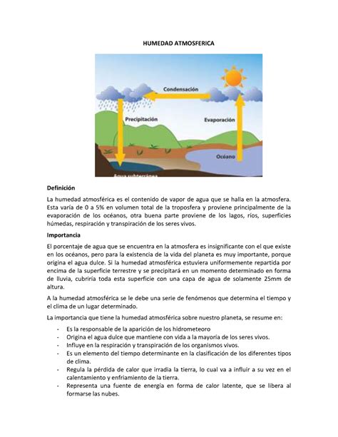 Humedad Relativa Humedad Atmosferica Definici N La Humedad