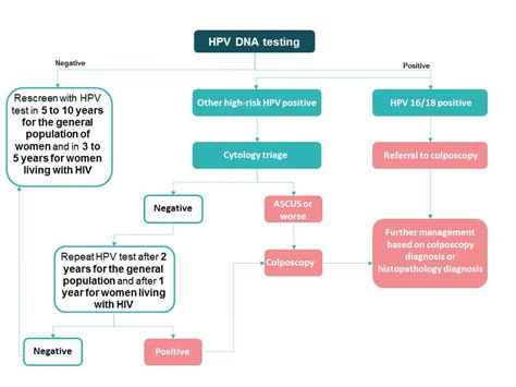 Using Human Papillomavirus HPV Detection Tests For Cervical Cancer