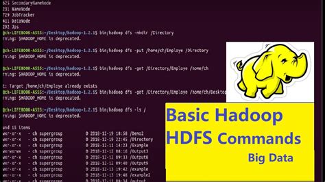 basic hdfs commands hadoop for beginners of big data hadoop learner digital hunger youtube