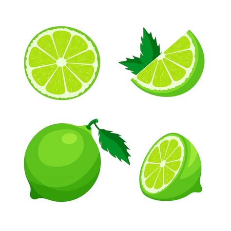 Premium Vector Set Of Fresh Whole Half Cut Slice Of Lime Isolated