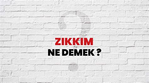 Zıkkım Ne Demek Ne Anlama Gelir Zıkkım Kelimesi TDK Sözlük Anlamı