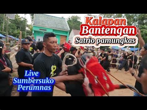 Kalapan Bantengan Satrio Pamungkas Live Sumbersuko Perumnas YouTube