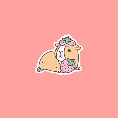 Cute Guinea Pig Wallpaper Pig Nail Art Pig Nails Pig Wallpaper
