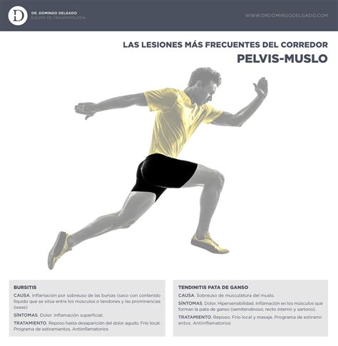 Las Lesiones De Pelvis Y Muslo M S Frecuentes En Los Corredores Anatomy