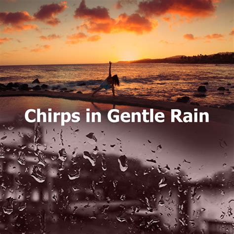 Chirps In Gentle Rain Album By Yoga Rain Spotify