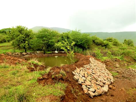 Water Conservation Why And How FORREST