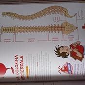 La grande enciclopedia del corpo umano Siamo fatti così Esplorando il