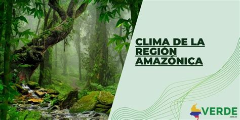Región Amazónica Colombia Verde