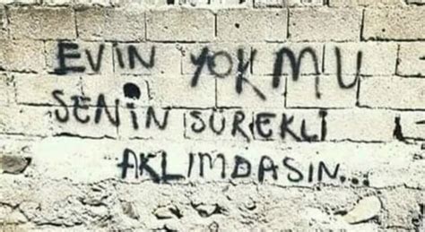 Ygmr Adl Kullan C N N S Zler Panosundaki Pin Duvar S Zleri