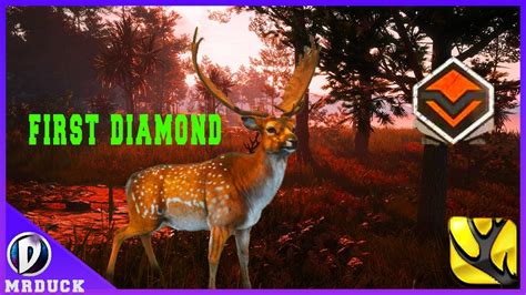 My First Diamond Fallow Deer In Hunter Call Of The Wild Youtube