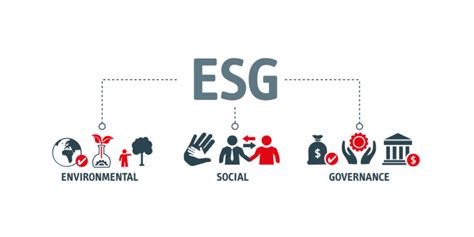 Criterios ESG qué son y cómo se evalúan Simplr