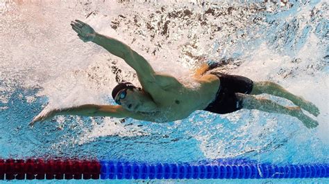 Borboleta Swimchannel