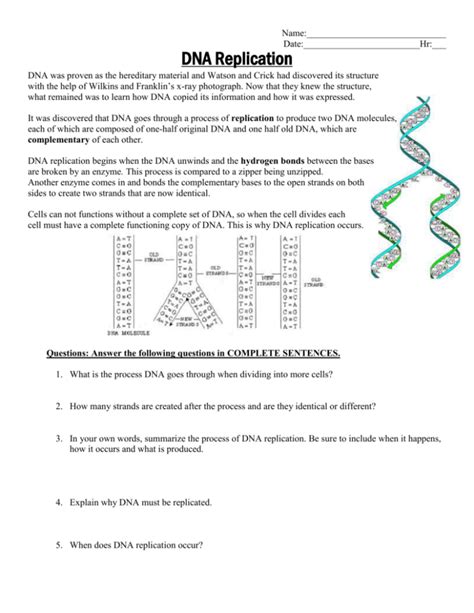 Practice Dna Structure And Replication Worksheets Answers