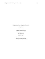 HLT 308V AD Topic 4 Organizational Risk Management Interview Docx