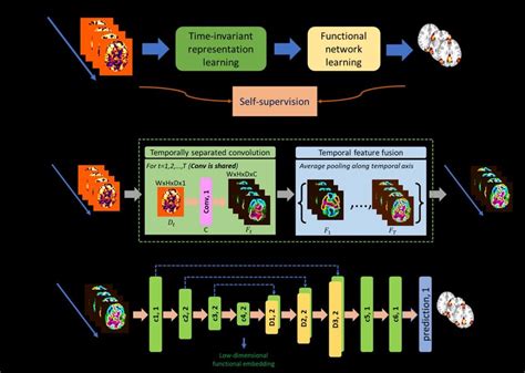 our proposed deep learning framework for personalized functional download scientific diagram