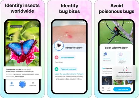 Best Bug And Insect Identifier Apps For IPhone In 2024 IGeeksBlog
