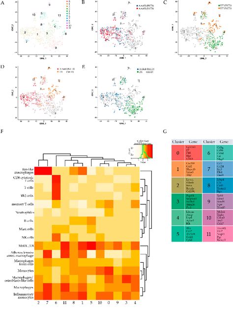 Figure 2 From Single Cell RNA Seq Reveals A Crosstalk Between