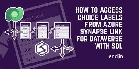 How To Access Choice Labels From Azure Synapse Link For Dataverse With