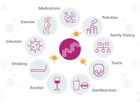 Epigenetics Knowledge Hub
