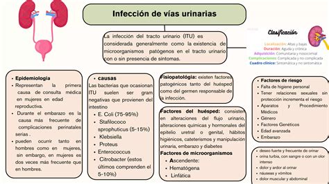 PROCESO DE ATENCIÓN DE ENFERMERÍA APLICADO A PACIENTE CON CON neumonía