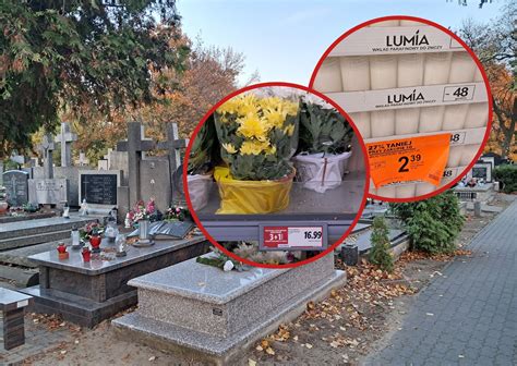 Lidl I Biedronka Walcz Cenami Rozmawiamy Z Lud Mi Pod Cmentarzem O