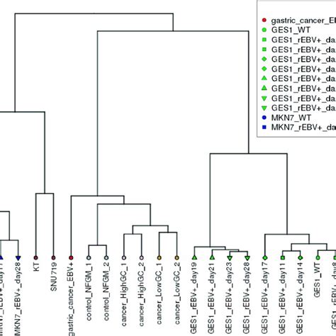 hierarchical cluster analysis based on cpg methylation values download scientific diagram