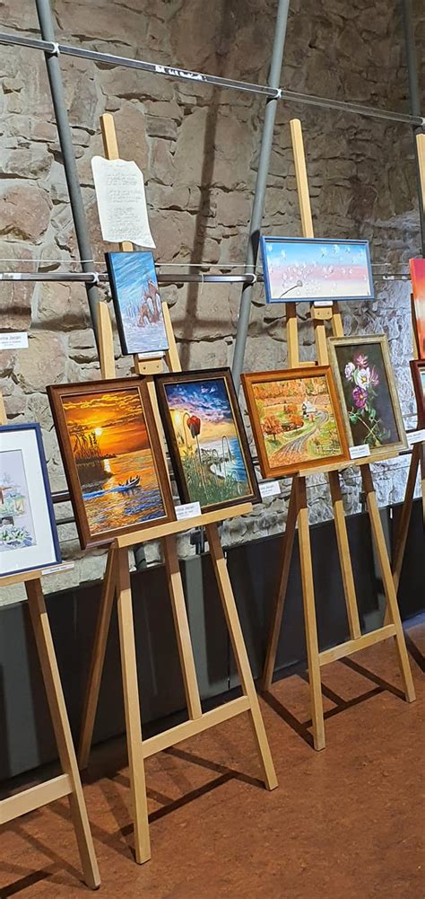 Salonul De Iarn Al Medicilor Expozi Ia De Art Plastic Ce E Creat