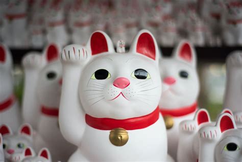 Berencana Liburan Ke Jepang Ini Dia Beragam Oleh Oleh Khas Jepang Yang