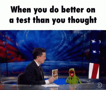 Meme Kermit Meme Kermit Yay Discover Share Gifs