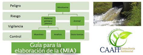 Gu A Para La Elaboraci N De La Manifestaci N Del Impacto Ambiental Mia