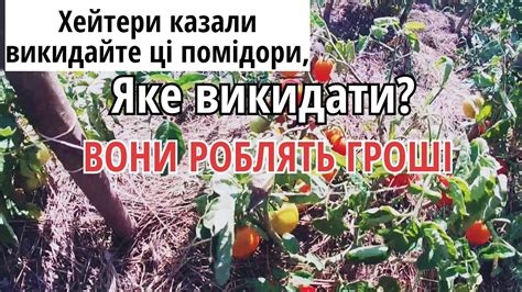 ЯК ЗАРОБИТИ 1000 в день на помідорах Відкриваю секрет продажу