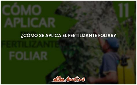 Aplicación del fertilizante foliar guía paso a paso ALMARURAL