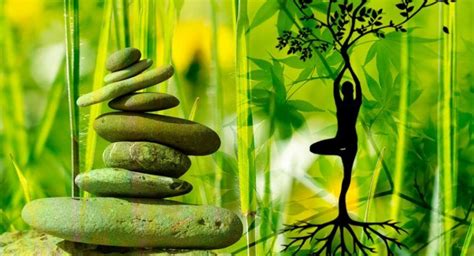 O que é terapia holística e seus benefícios