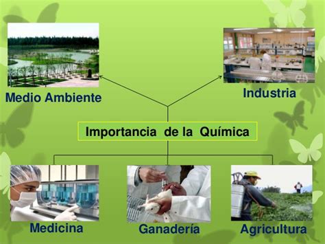 La Química en la Agricultura Químicos en la Agricultura