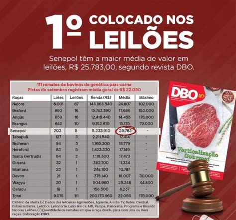 Tudo Sobre o Senepol uma das raças bovinas que mais cresce