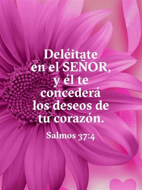 Pin By Carla Rosario On Mis Fotos In Bible Quotes Prayer Quotes
