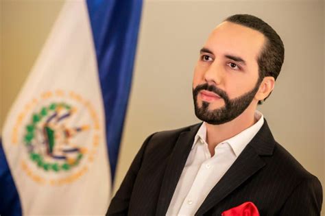 Nayib Bukele Brothers Nukpic Store