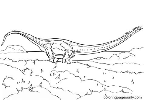 Jurassic Park Ausmalbilder Ausmalbild Mamenchisaurus Ausmalbilder My