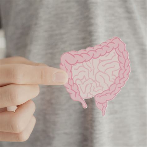 Leaky Gut Syndrom Mit Der Mikroimmuntherapie Sanft Effektiv Behandeln