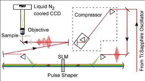Schematic Experimental Setup For Selective Two Photon Microscopy