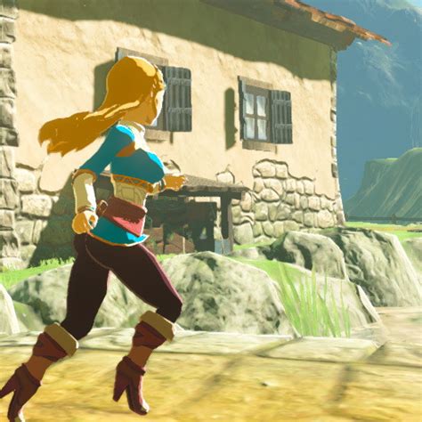 Zelda Travel Dress Hair For Linkle The Legend Of Zelda Breath Of