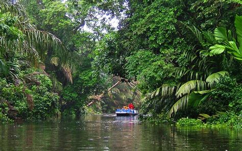 Sailing Through The Jungle In Tortuguero National Park On The Luce