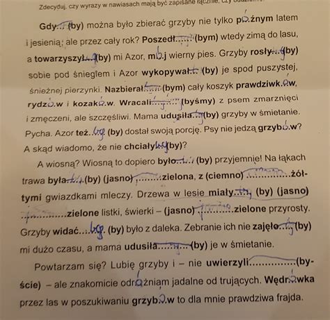 za 60 punktów proszę o pomoc wypisz wszystkie rzeczowniki przymiotniki