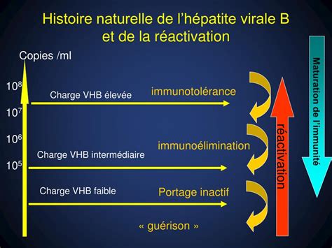 PPT Prise en charge des hépatites virales B C au cours des