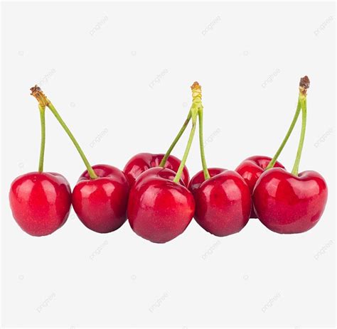 Fruta Cereja Vermelha De Verão PNG Fresco Fruta Cereja PNG Imagem