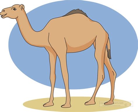 Camel Clipart Dromedary Camel Black White Outline Clipart