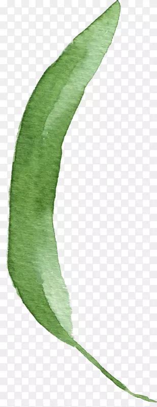 Png Png