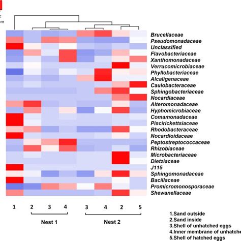 Heatmap Of The 25 Most Abundant Bacterial Families Generated By The
