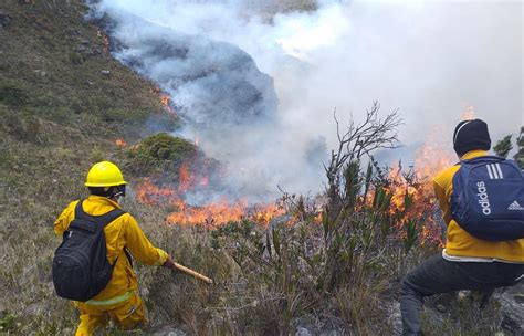 Una veintena de incendios forestales siguen activos en el Perú