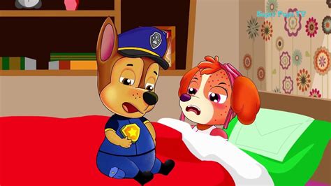 Paw Patrol Cartoon Chase And Skye Catch The Robber Grabbing His Mother